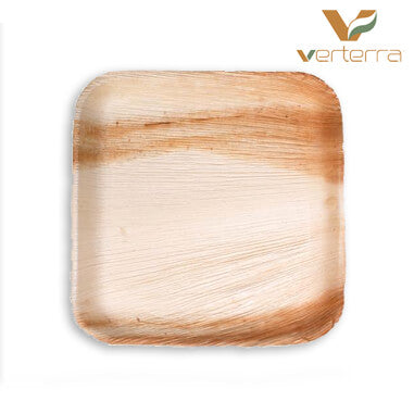 VerTerra Palm Leaf Disposable Plates – Joanne Hudson Basics